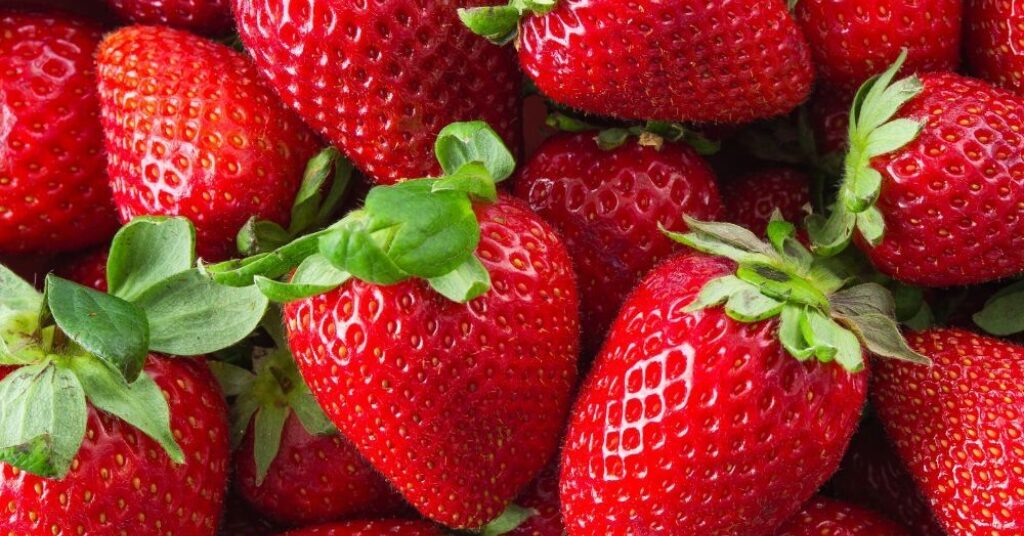 Thornton Burgess Society | Green Briar Nature Center & Jam Kitchen