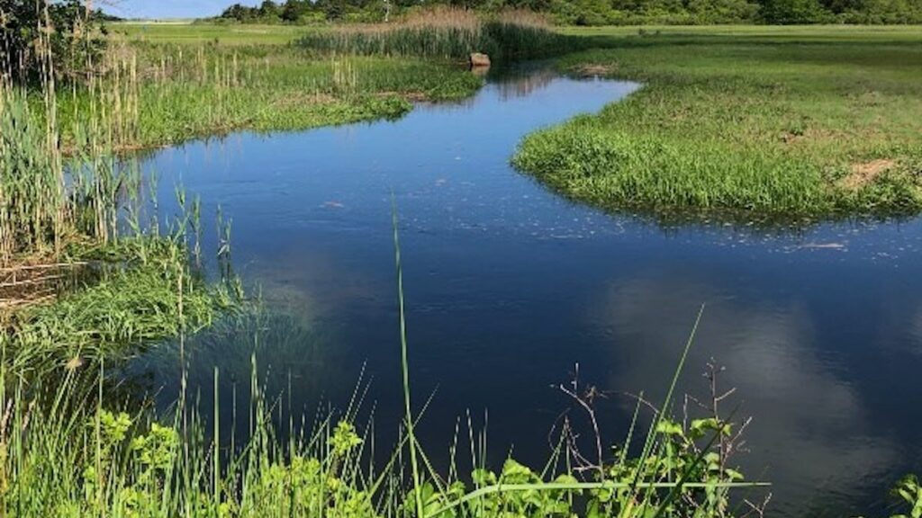 Trails & Tides | Cape Cod Museum of Natural History