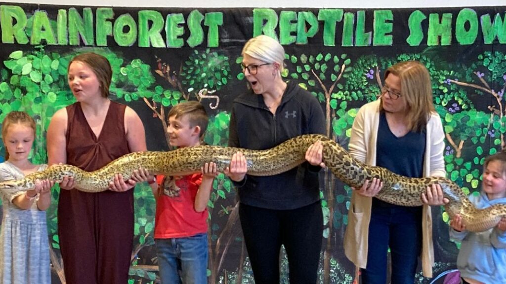 Reptiles Rock! | Cape Cod Museum of Natural History