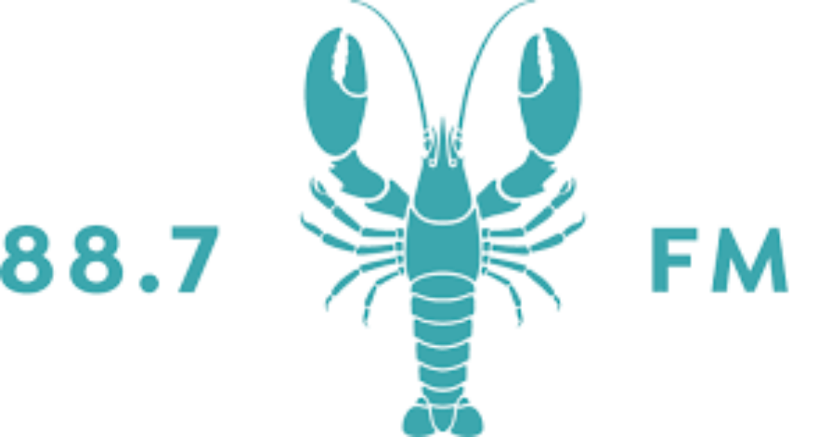 MVYRADIO's Joe Stickles… | Cape Cod Museum of Natural History