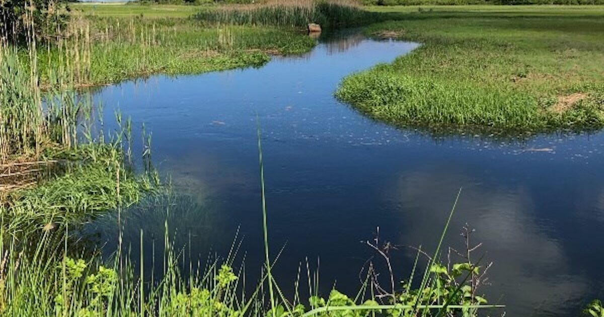 Trails & Tides | Cape Cod Museum of Natural History