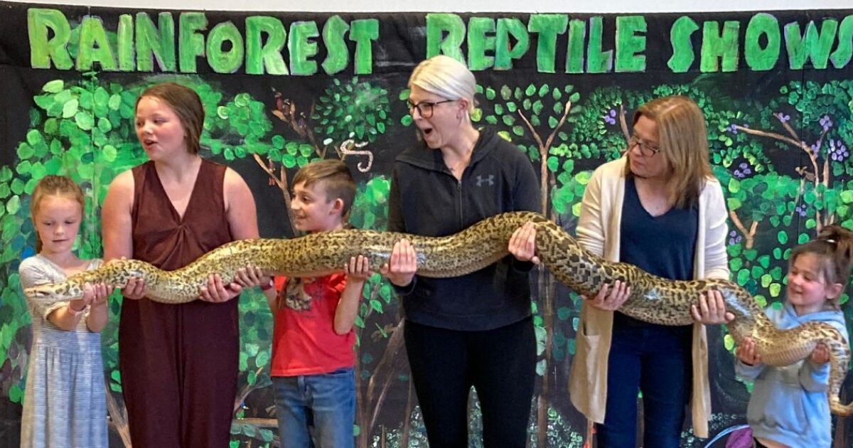 Reptiles Rock! | Cape Cod Museum of Natural History