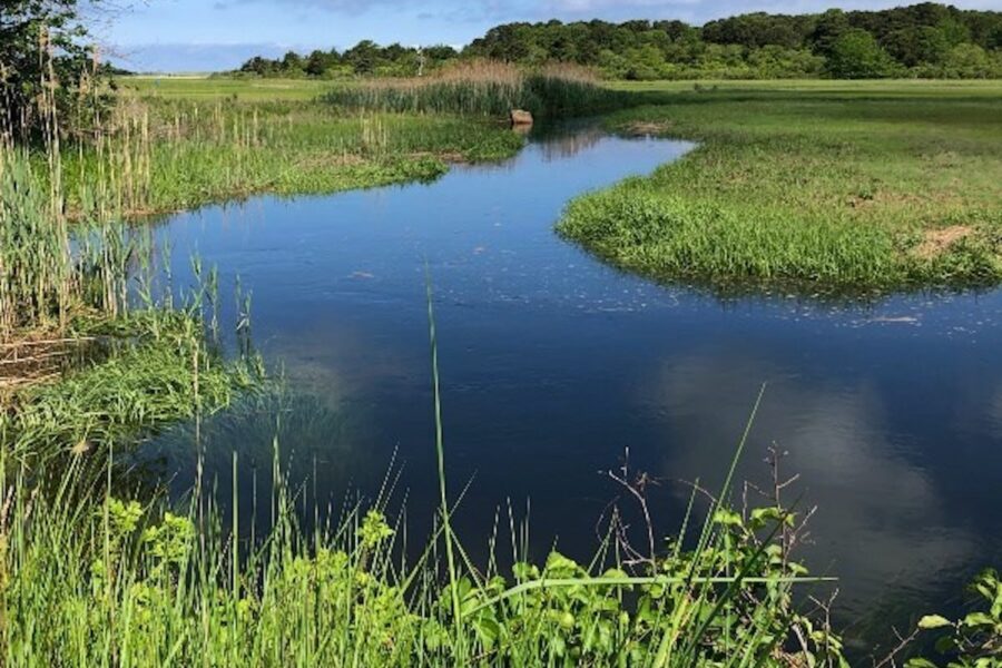 Exhibits & Attractions | Cape Cod Museum of Natural History